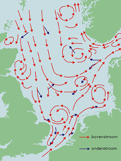 Windsurfen op zee - Leerwindsurfen